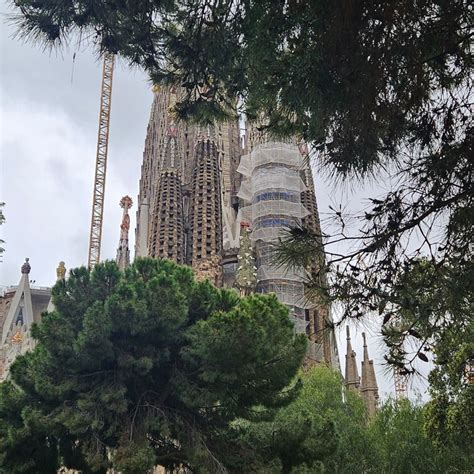 바르셀로나 사그라다 파밀리아 내부 차량 반일 프리미엄 가우디 투어 구엘공원사그라다파밀리아성당 내부 투어입장권확보중