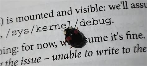fixing bugs in the linux kernel with syzbot qemu and gdb cycling and