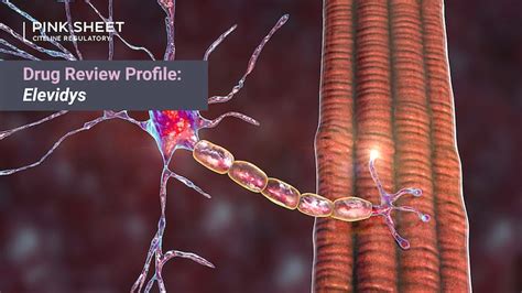 Lets Go To The Video Recordings Of Dmd Patients After Elevidys