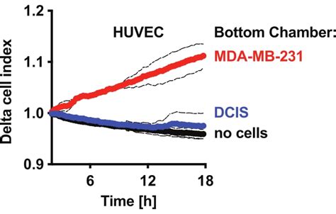Real Time Detection And Capture Of Invasive Cell Subpopulations From Co Cultures Scientific