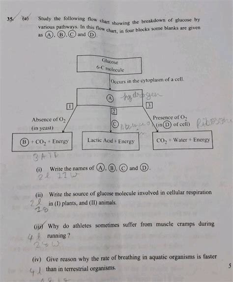A Study The Following Flow Chart StudyX