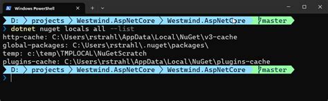 Nuking Local Nuget Package Sources To Show Newly Published Packages