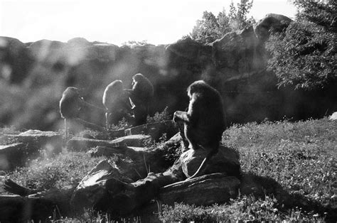 How To Csv To Postgresql Integration With Python By Merve Celme Stackademic