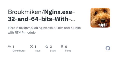 Github Broukmikennginxexe 32 And 64 Bits With Rtmp Here Is My