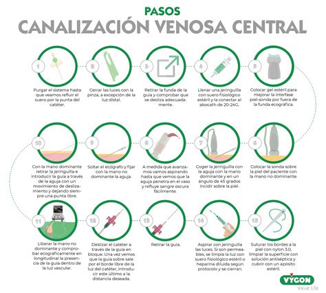 Paso A Paso De La Canalización Venosa Central Ecoguiada Campus Vygon