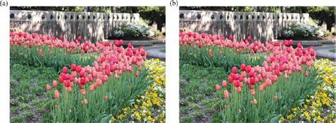 Figure 1 From A Generalized Deep Neural Network Approach For Digital