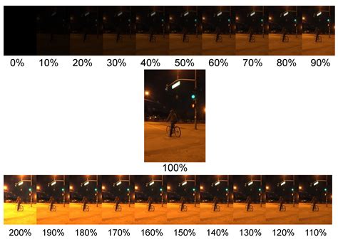 bio inspired dark adaptive nighttime object detection