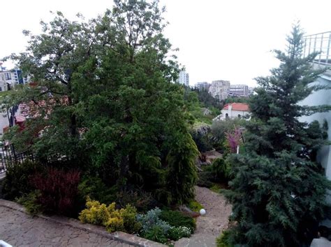 Фотогалерея с объектов студии Мирра-лэнд
