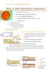 Chapter 6 DNA REPLICATION Lecture Part 1 Part 2 Notes Docx Online Lecture 3 Chapter 6