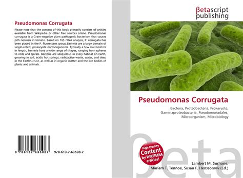 Pseudomonas Corrugata 978 613 7 63508 7 6137635082 9786137635087