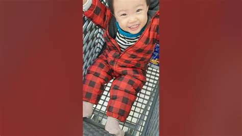 이마트 카트에 담긴 아기새 찌롱 Youtube