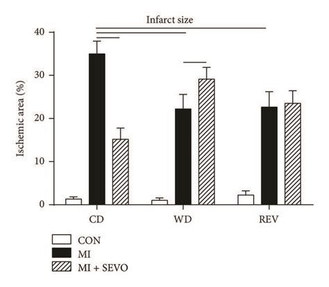 Myocardial Ischemia And Reperfusion Injury Area At Risk A And