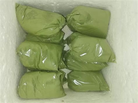 Mambe Of Tribe Huitoto From River Putumayo Colombia The Murui