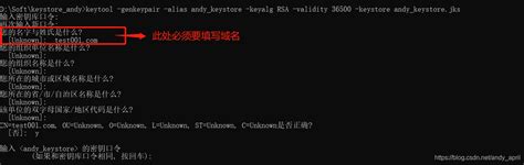 Java Web应用方式部署访问时，自签名证书的生成步骤（域名版本）web项目的jssecacerts证书生成与部署 Csdn博客