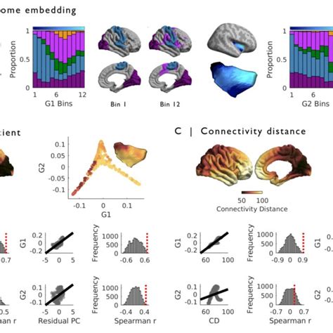 Microstructural Gradients Track Functional Networks Architectures A Download Scientific