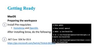White Paper ASP NET Core AngularJs 2 And Prime PPT