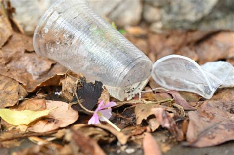 Litterdetection Object Detection Dataset By Litterdetection