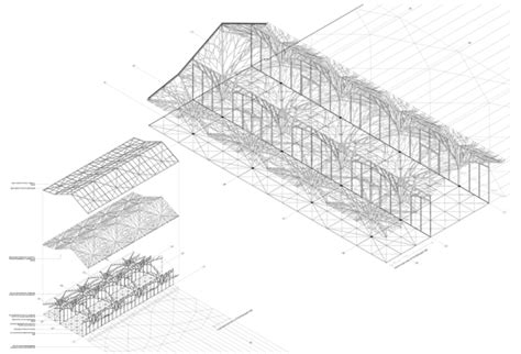 LET S STAY Cool Tree Inspired Architecture And Design