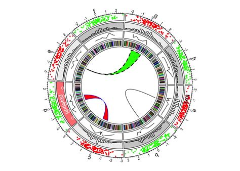 R 数据可视化 —— Circlize 简单介绍 Csdn博客