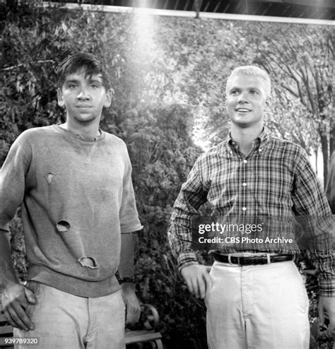 The Many Love Of Dobie Gillis Photos And Premium High Res Pictures