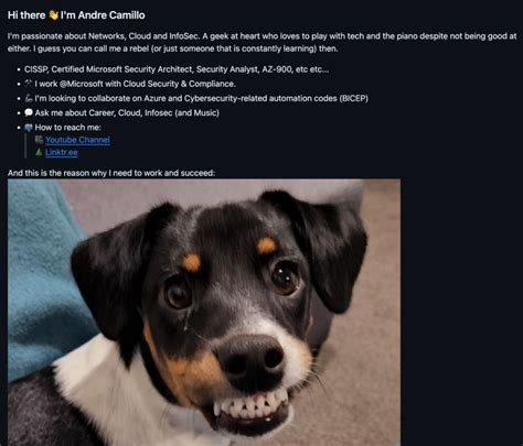 Andre C On Linkedin An Update To My Github Intro Was Overdue 🐶 Ps