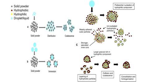 Wet Granulation Vs Dry Granulation A Complete Comparison Saintyco