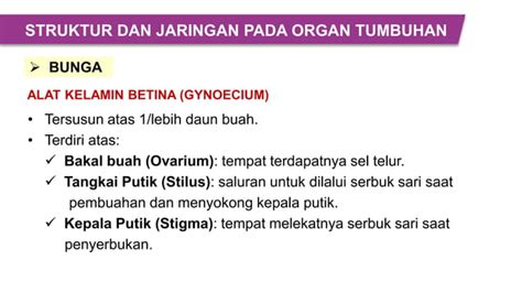Salinan Strukrur Dan Fungsi Jaringanpptx