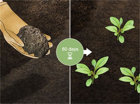 4 Ways To Increase Nitrogen In Soil WikiHow