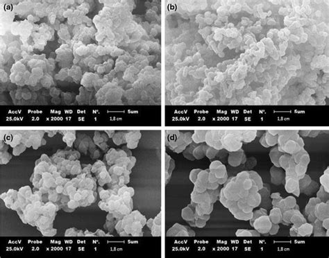 Scanning Electron Micrographs Of Sba 15 Molecular Sieve In Different