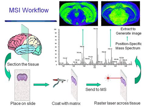 Mass Spectrometry Imaging Yost Research Group