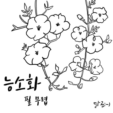 꽃색칠 능소화그림 무료도안 네이버 블로그
