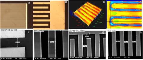 Figure 1 From Conductometric Immunosensor For Specific Escherichia Coli
