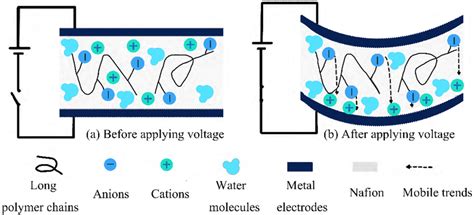 Schematic Diagrams Of Electrostatic Interactions Of Ipmc 15