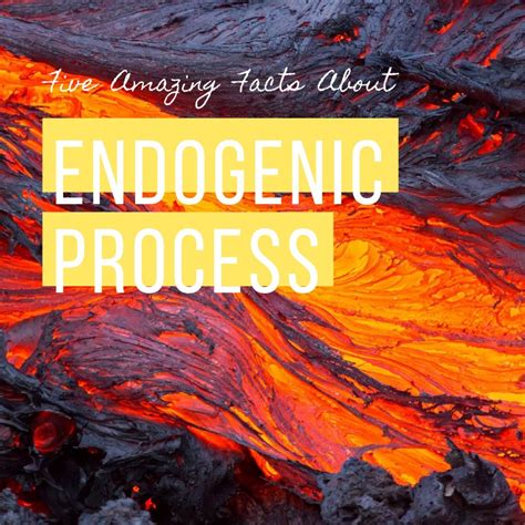 Endogenic Process Humss111 Group 1 3 𝒂𝒅𝒅𝒊𝒕𝒊𝒐𝒏𝒂𝒍 𝒊𝒏𝒇𝒐 Faults Are