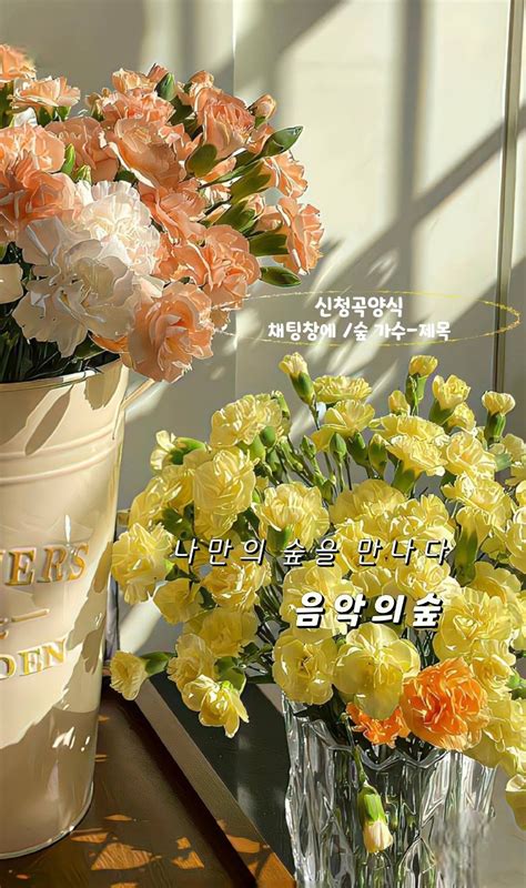 스푼 캐스트 Dj ⠀⠀☆彡음악의숲 ⃢🌳ᷤ ᷳ ᷳ ᷮ님의 수고했어 오늘도 7월17일