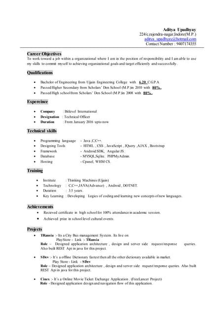 Updated Aditya Docx Programming Languages Computing