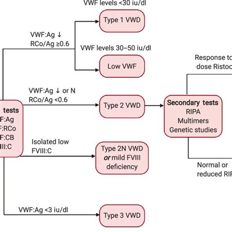 Suggested Vwd Diagnostic Algorithm With Defined Threshold Cut Offs Download Scientific Diagram
