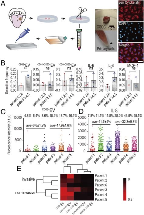 Multiplexed Profiling Of Single Cell Extracellular Vesicles Secretion Pmc