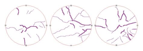 The Cracks Segmentation From The Original Ct Slices At The Five Loading