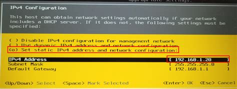 ESXi 고정IP Static IP 할당하기 달소씨의 하루