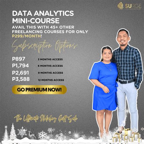 Data Analytics Mini Course Surge Freelancing Marketplace