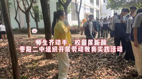 枣阳市第二中学开展劳动教育实践活动高清1080p在线观看平台腾讯视频