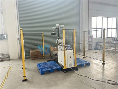 Robotic Arm Palletizing With Gripper Bags Pellet Carton Palletizing