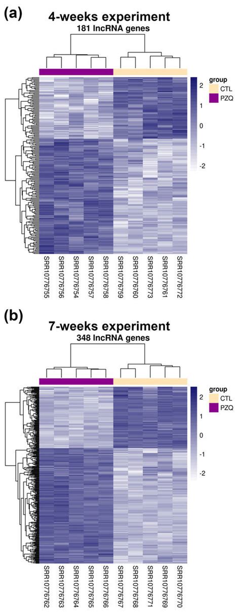 Non Coding Rna An Open Access Journal From Mdpi