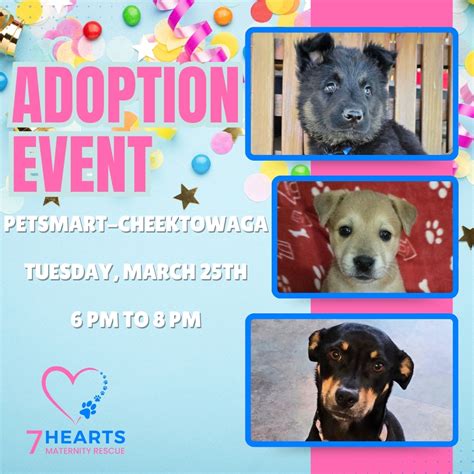 PetSmart Charities National Adoption Week, Adoption Event