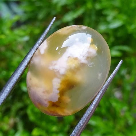 Batu Mustika Mani Genderuwo Pelet Sex Pusaka Dunia