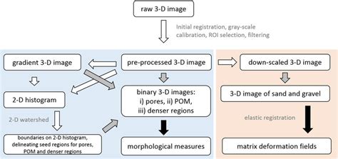 workflow illustrating the image processing and analyses steps