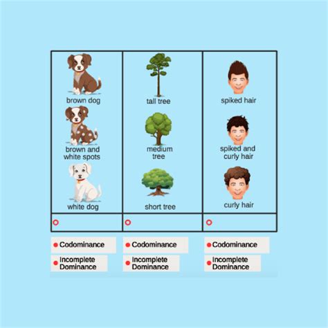 Non Mendelian Inheritance Ck 12 Foundation Worksheets Library