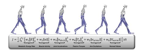 Our Research Biomechanics Engineering Analysis And Modeling BEAM Lab