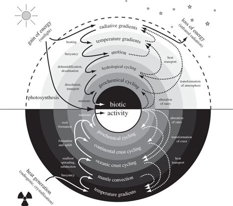Schematic Of The Planetary Hierarchy Of Free Energy Generation Download Scientific Diagram
